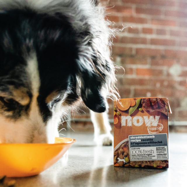 Now Fresh Tetra Pak Social Media Campaign - Massif Creative