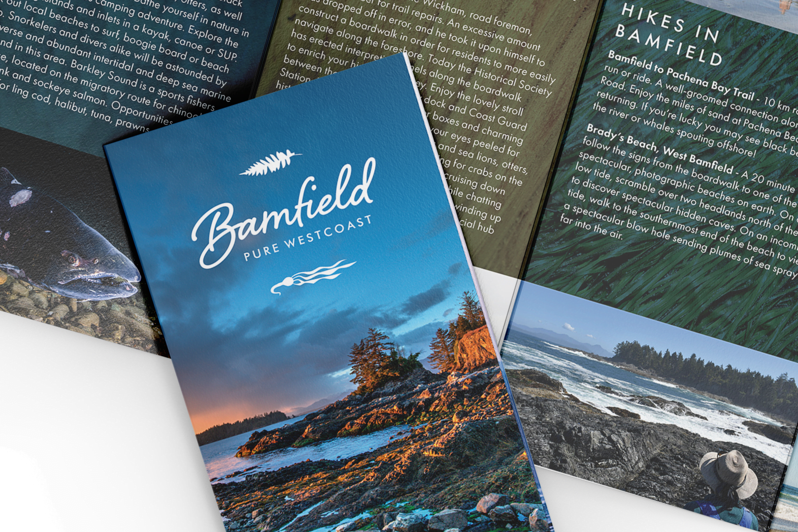Bamfield Community Brand Identity - Massif Creative